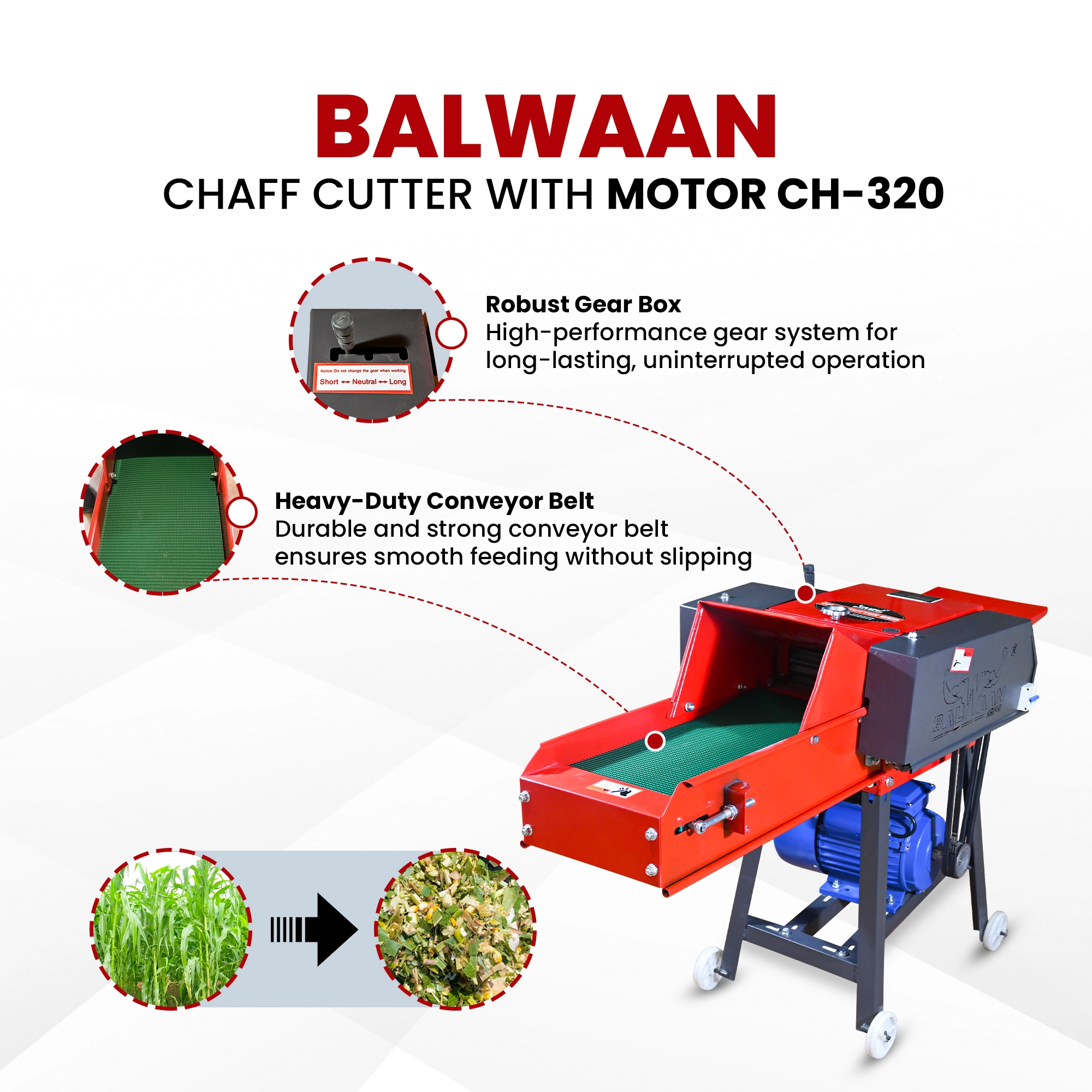Balwaan Chaff Cutter CH-320 (With Gear | Motor & Conveyor Belt)